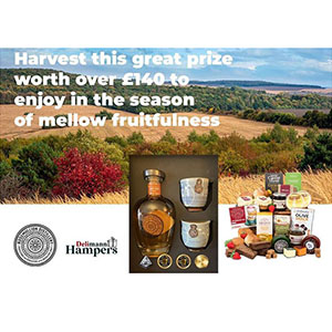 Free Delimann x Cornish Gin Gift Bundle | Only Free Stuff